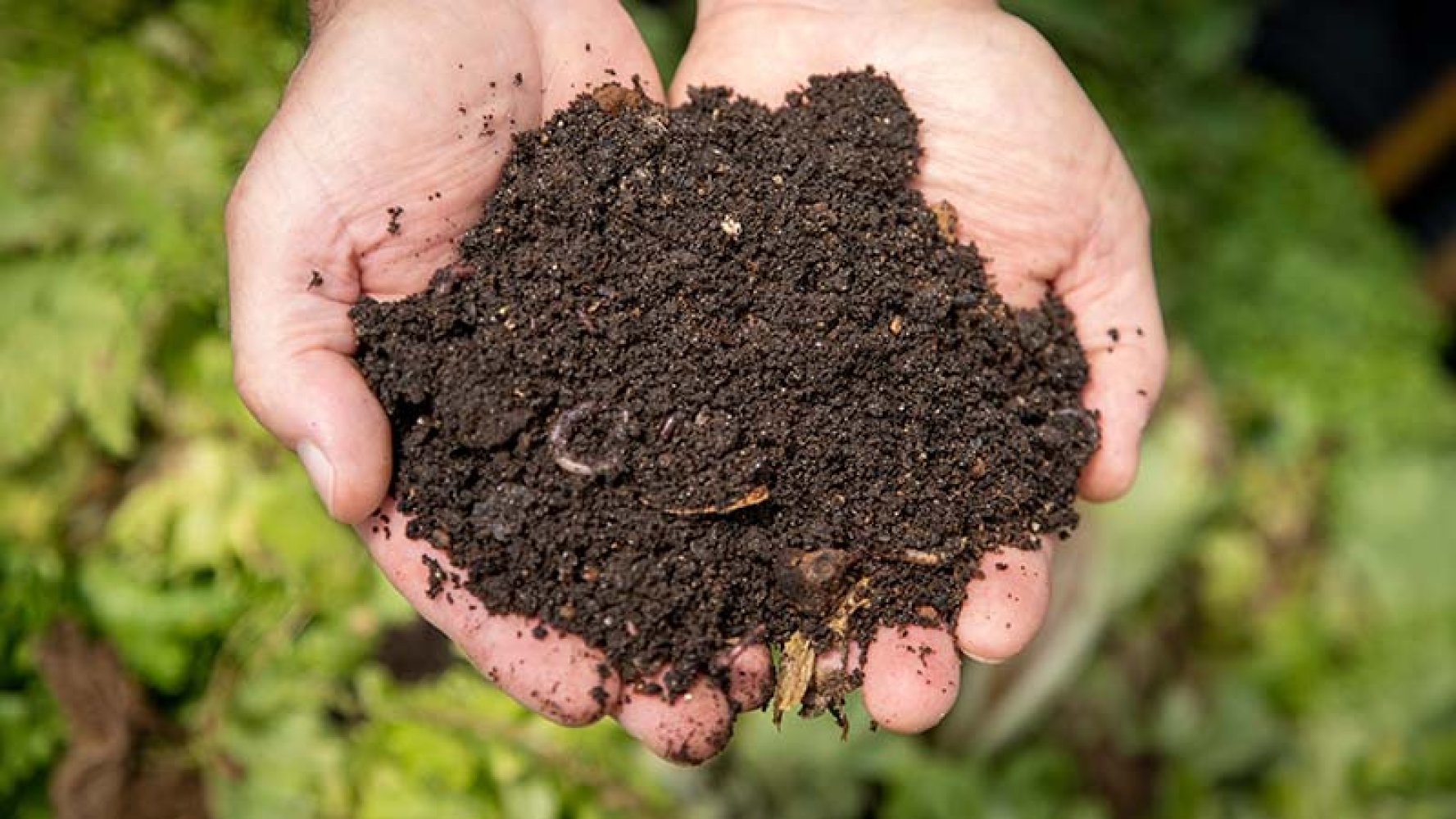 Slik tar du vare på jorda di